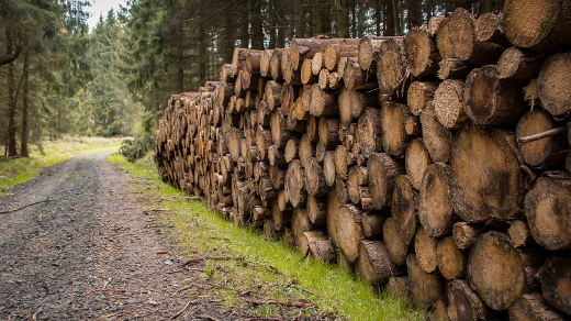 A Guide To Logging In Python Opensource